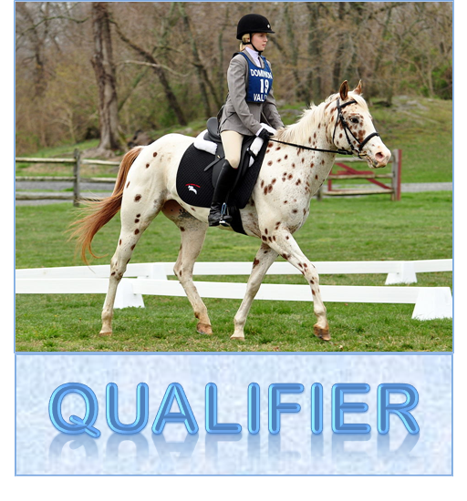 BRC Area 1 Qualifiers 2024 - British Riding Clubs - Area 1